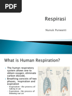 Respiratory System Study Guide | PDF | Exhalation | Respiratory Tract