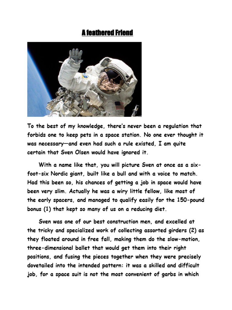 A Feathered Friend | PDF