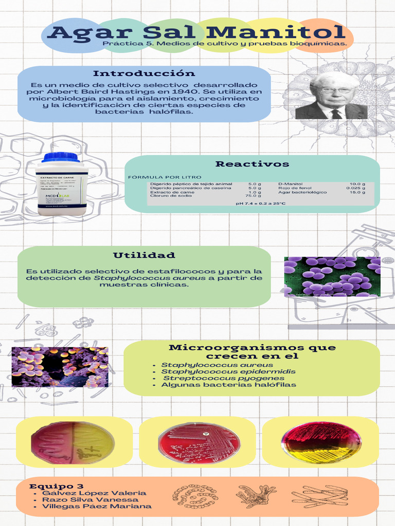 Equipo#3 Agar Sal Manitol y KIA | PDF