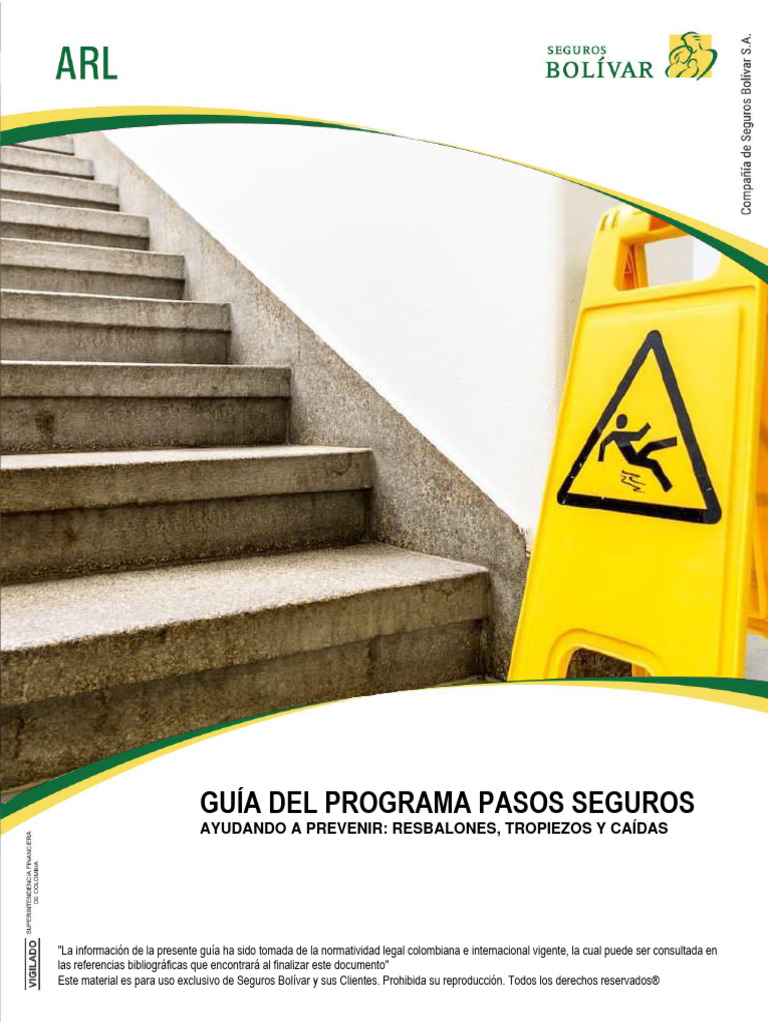 Guia Programa Pasos Seguros-1 | PDF | Mente | Business