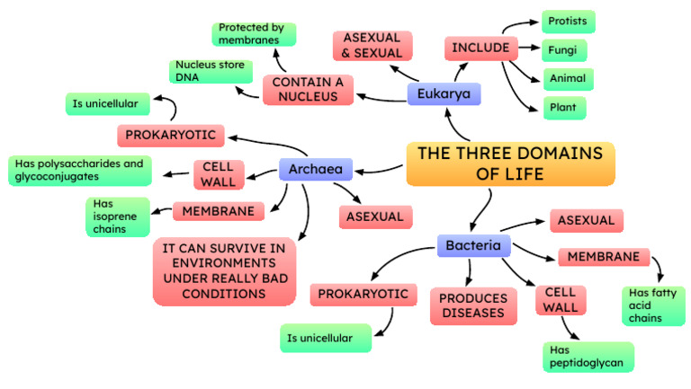 The Three Domains of Life | PDF