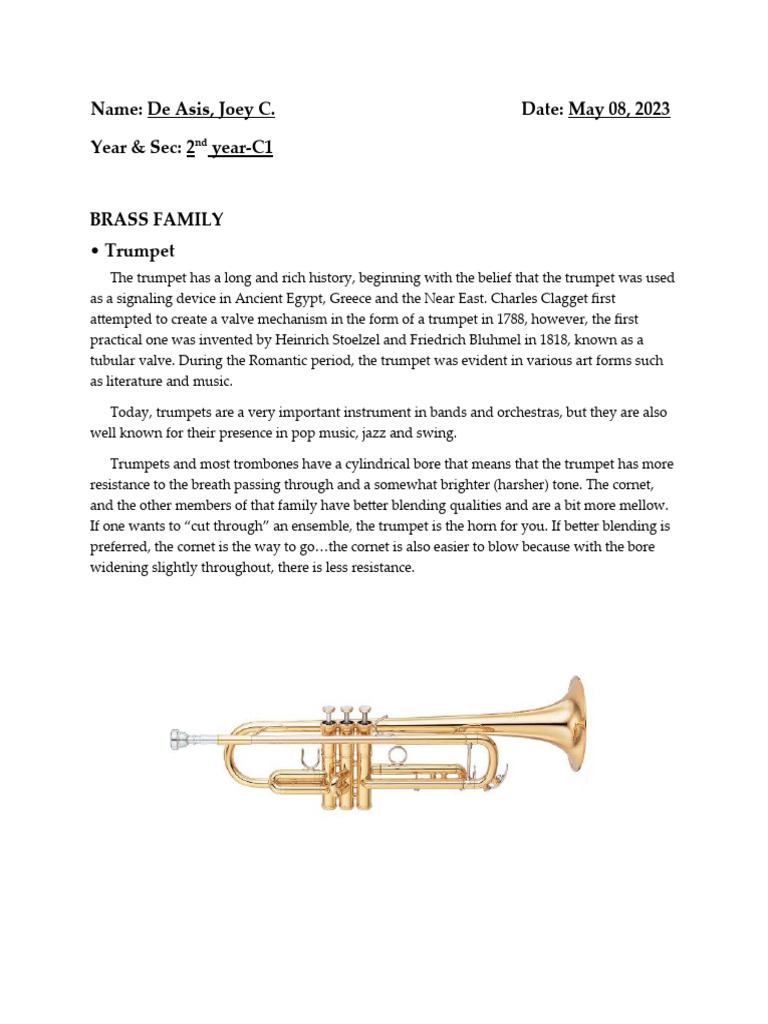Activity ESSAY | PDF | Piano | Saxophone