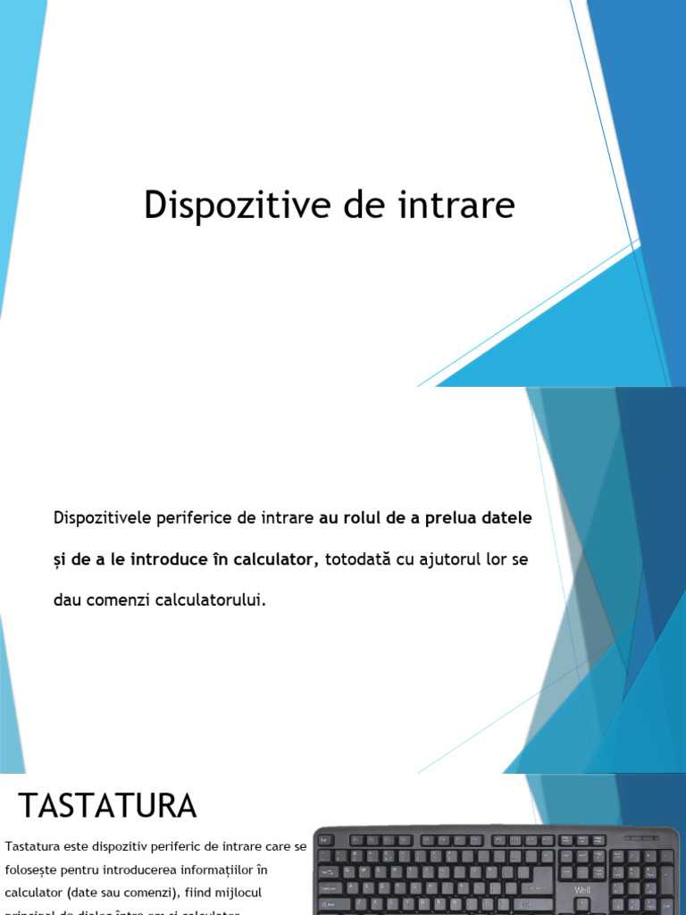 Dispozitive de Intrare | PDF