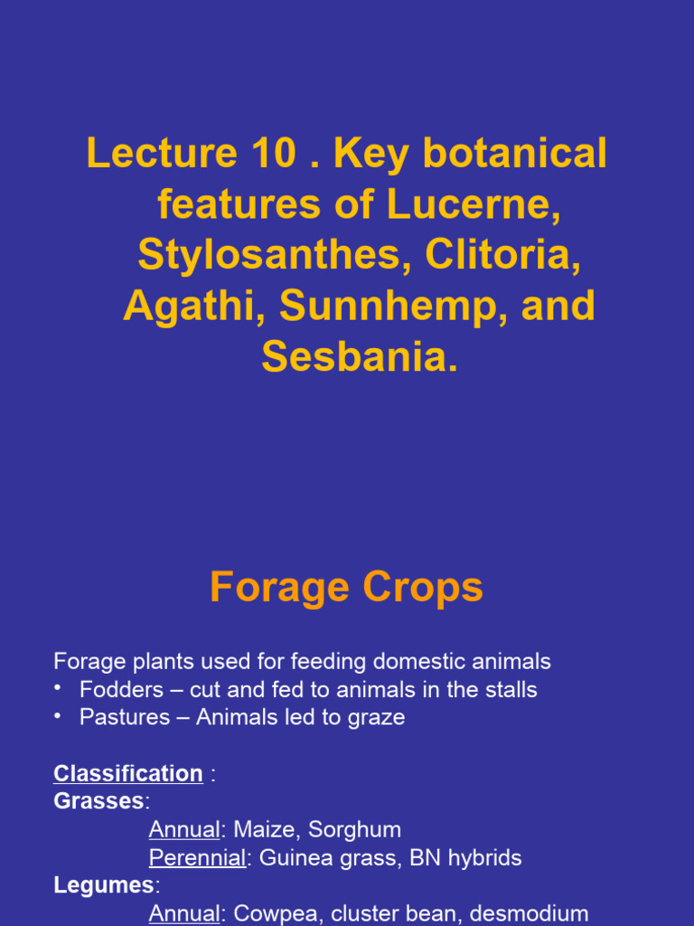 LECTURE 10 Lucerne, Stylo, Clitoria | PDF