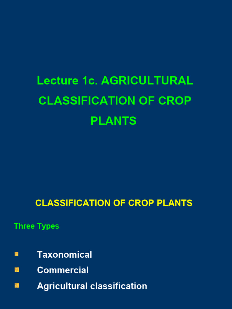 LECTURE 1c - Agrl Classification of Crop Plants | PDF | Cereals | Legume