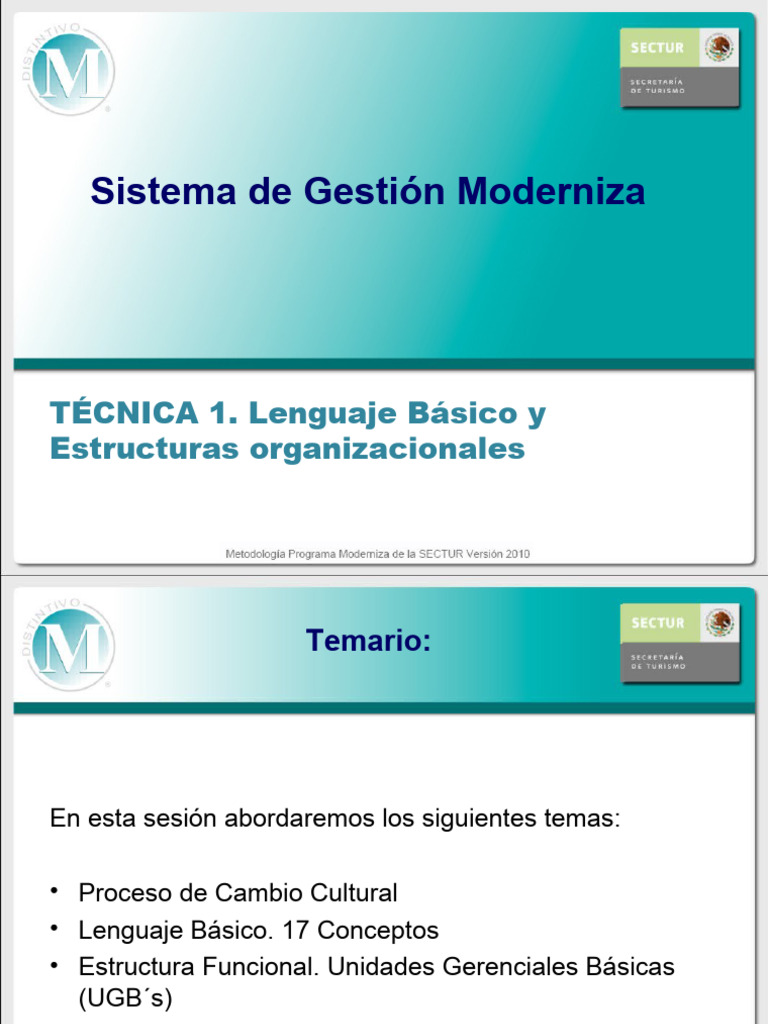 T1 Lenguaje Básico | PDF | Business | Calidad (comercial)