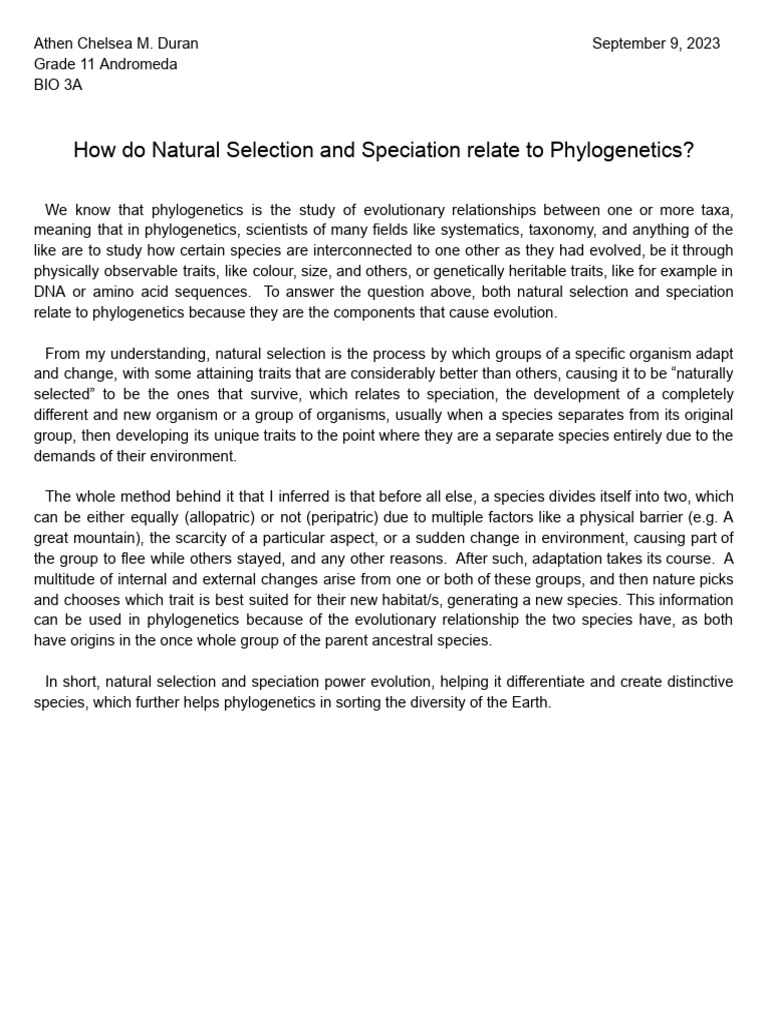 How Do Natural Selection and Speciation Relate To Phylogenetics? | PDF