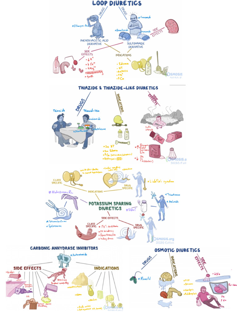Summary of Loop and Thiazide Diuretics, 2020 | PDF | Medicine | Medical ... Summary of Loop and Thiazide Diuretics, 2020 | PDF | Medicine | Medical ...