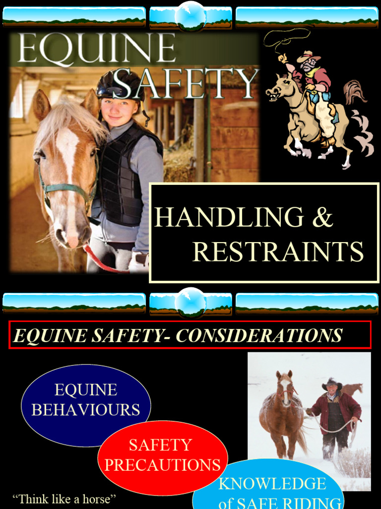 Equine Handling Restraints | PDF | Horses