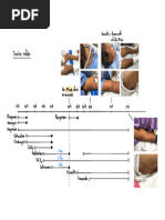 3.12 การประเมิน naranjo algorithmสำหรับเภสัชกร | PDF