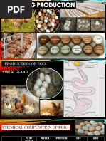 (PDF) Layers Feeding Guide, Growth & Weight Chart - Livestocking | PDF ...