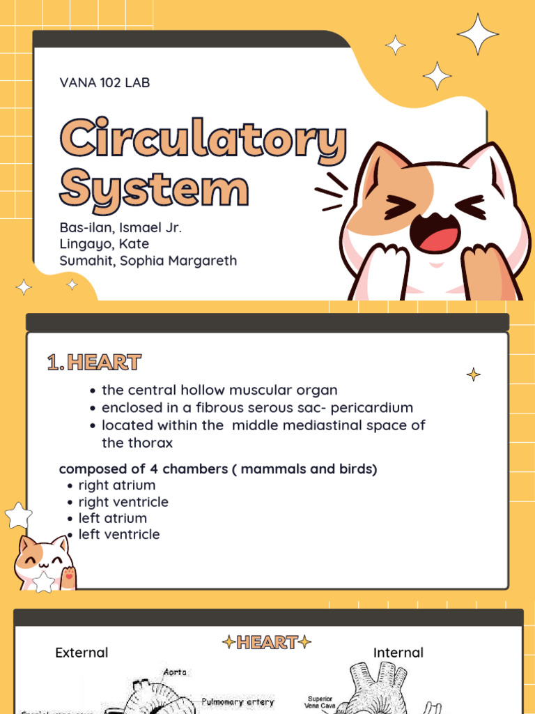 VANA-102-LAB-Circulatory-System_compressed | PDF