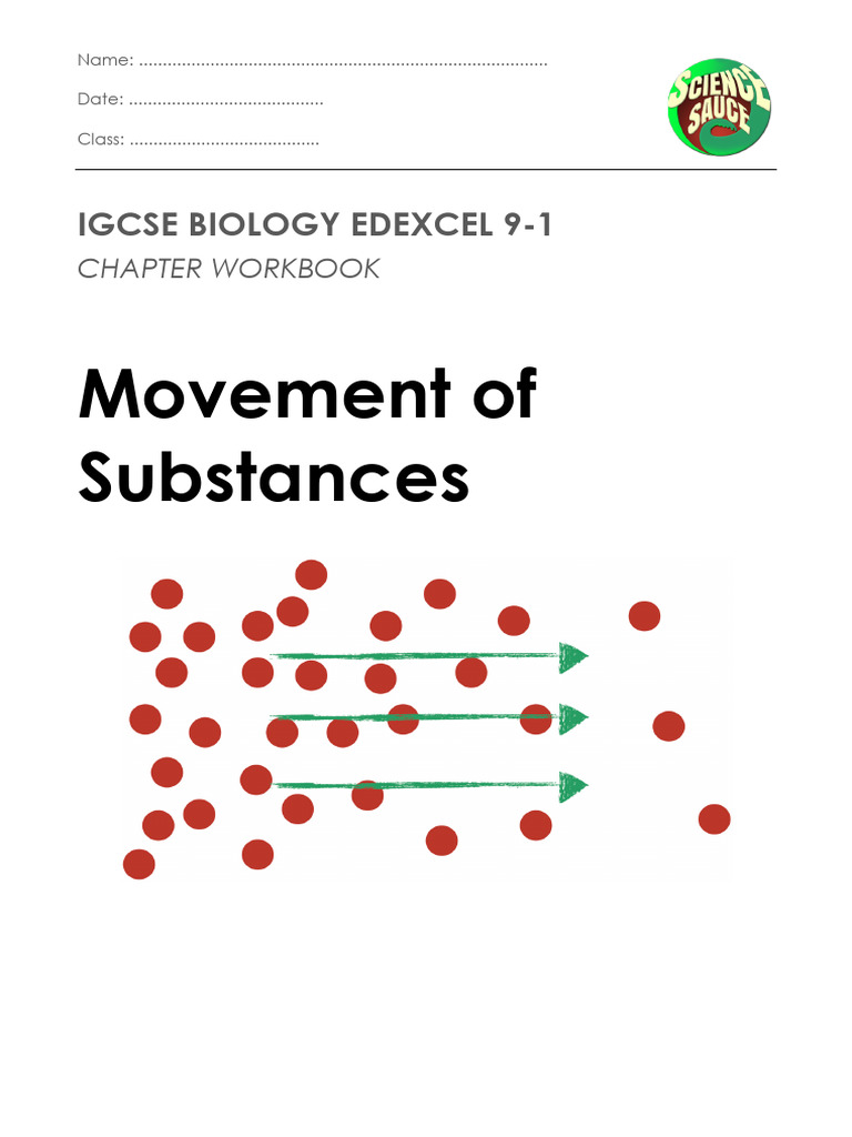 Movement-of-Substances Practice Paper | PDF | Osmosis | Diffusion