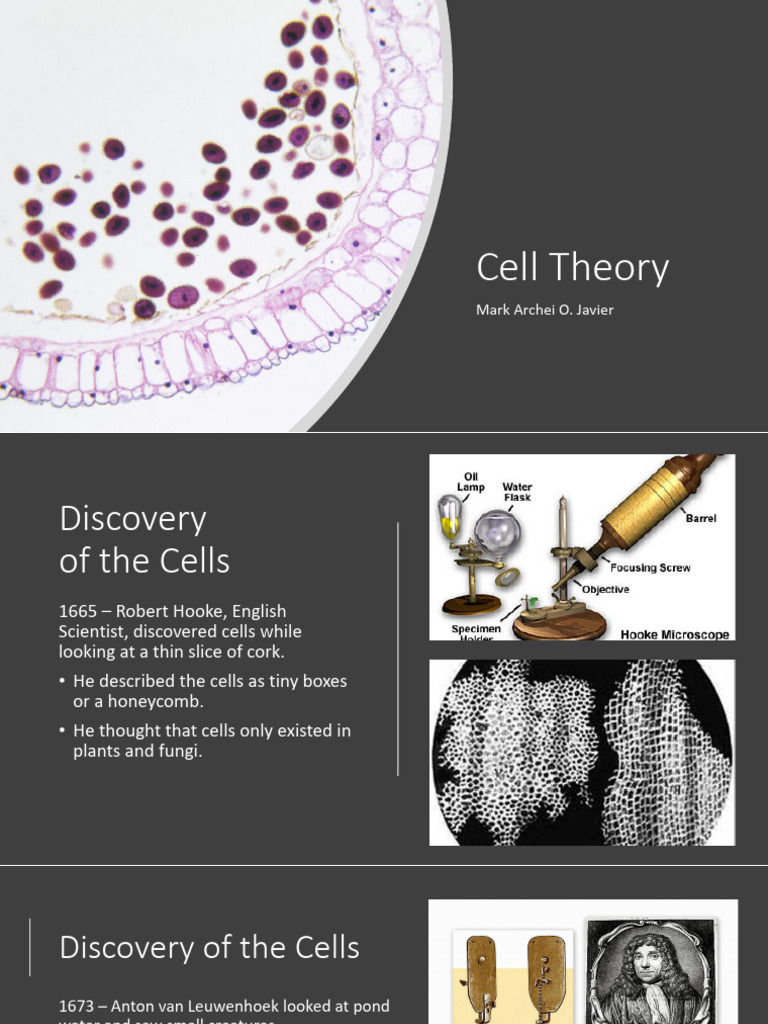 Cell Theory Timeline 1673