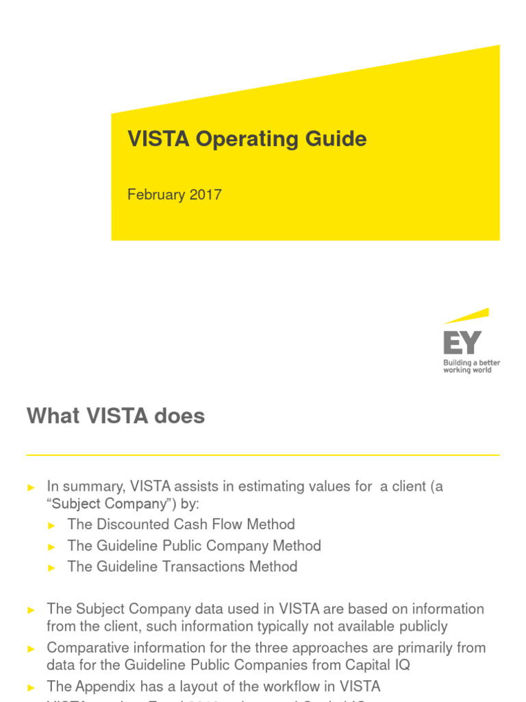 VISTA Operating Guide | PDF | Microsoft Excel | Valuation (Finance)