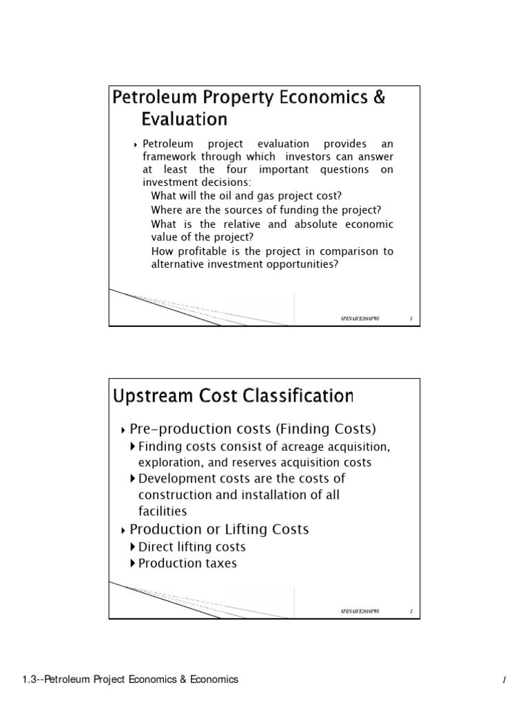 1.3 - Petroleum Project Economics & Evaluation | PDF
