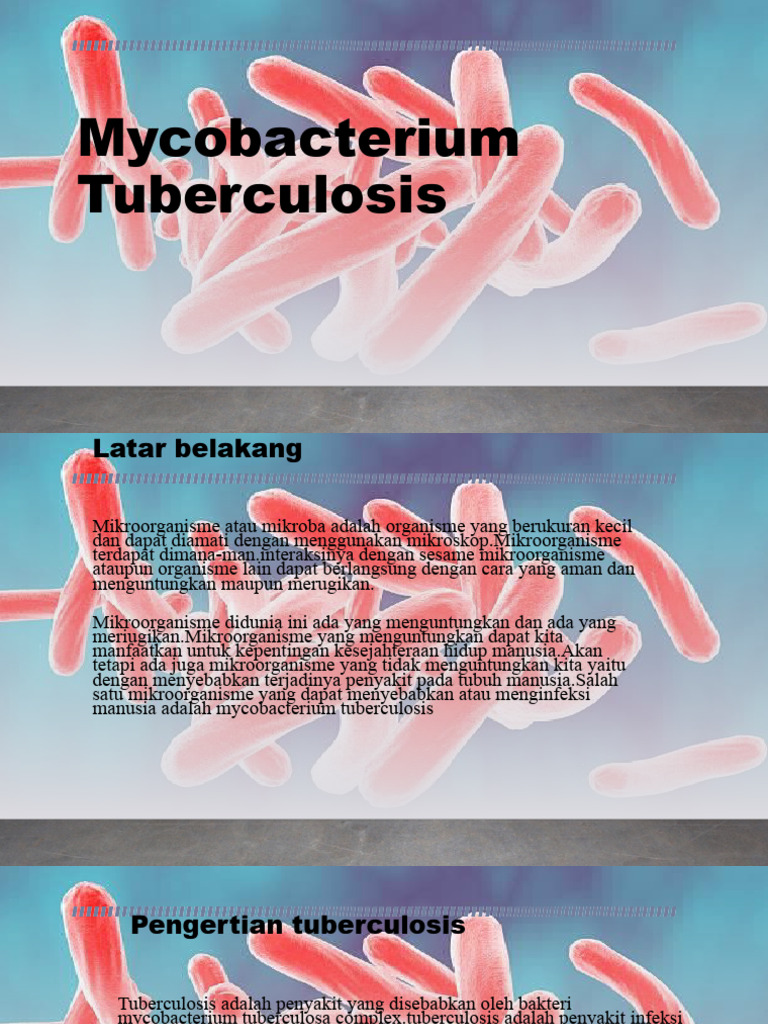 Mycobacterium Tuberculosis | PDF