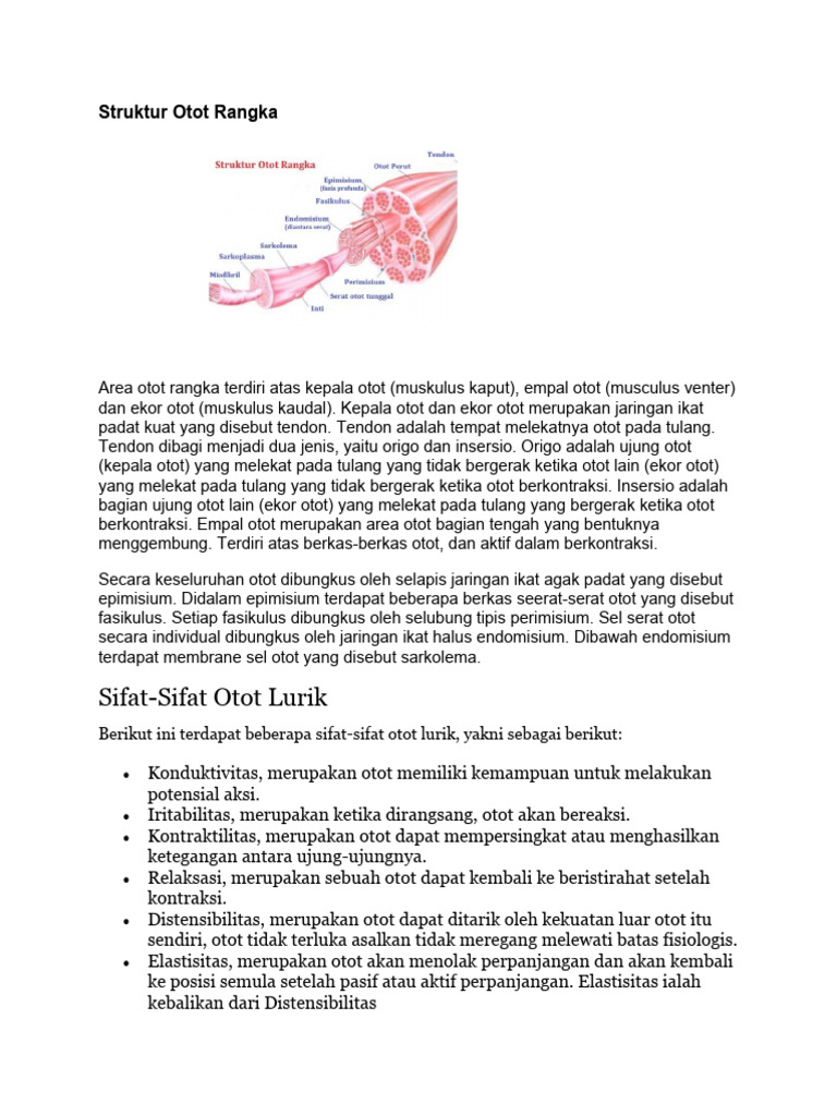 Laporan Bio Otot Rangka Kel 4 | PDF