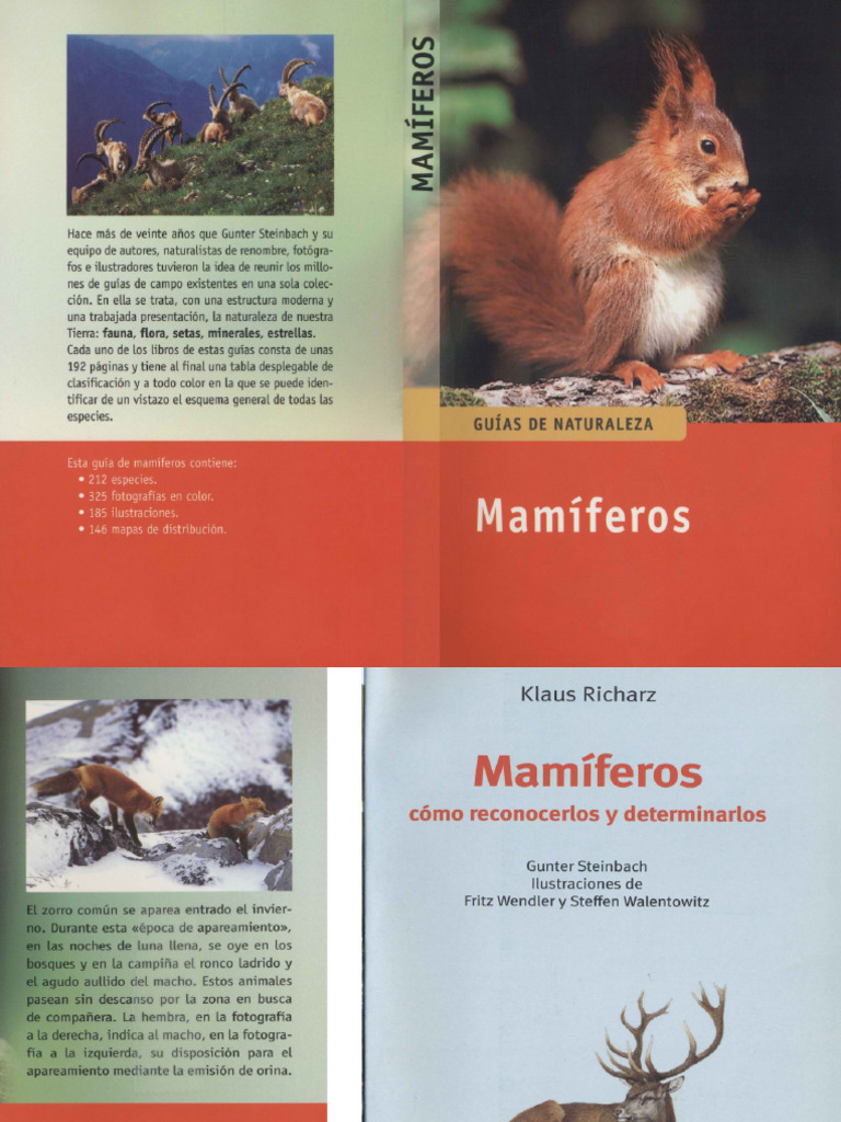 Guia de Mamiferos | PDF