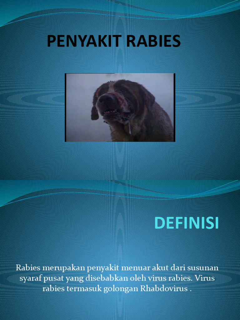Rabies | PDF