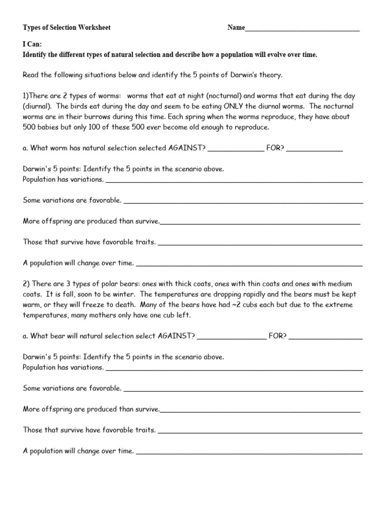 Types of Selection worksheet | PDF | Natural Selection | Bears