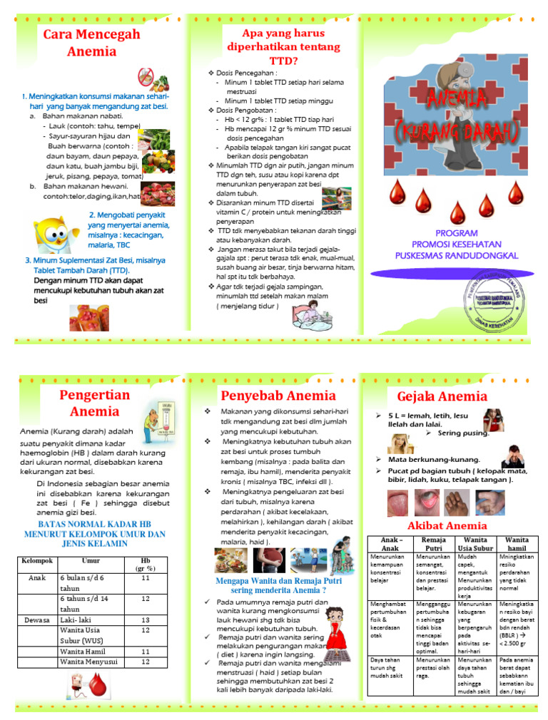 Leaflet Anemia | PDF
