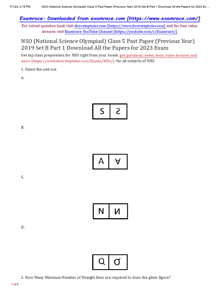 NSO Class 5 Past Paper 2019 Set B | PDF
