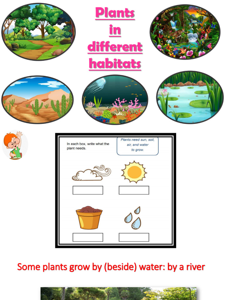 1.2 Plants in Different Habitats | PDF