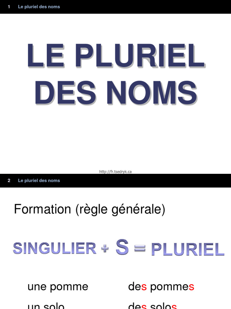 Pluriel Des Noms Fondamentaux – Pluriel Des Noms Exercices Pdf – CREM