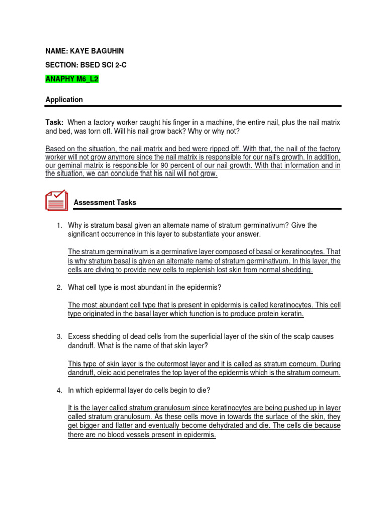 Baguhin - Anaphy M-6 Lesson 2 | PDF | Epidermis | Skin