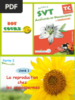 Le Carpelle : Organe des Angiospermes | PDF | Fruit | Embryon