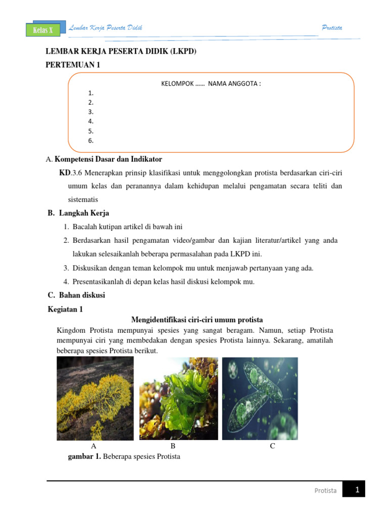 LKPD PROTISTA 2023 | PDF