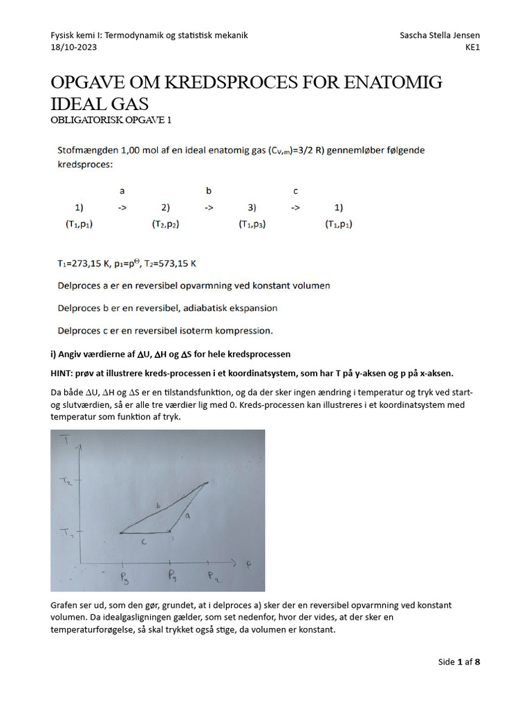 Opgave Om Kredsproces For Enatomig Ideal Gas (Aflevering 1, Sascha Jensen) | PDF