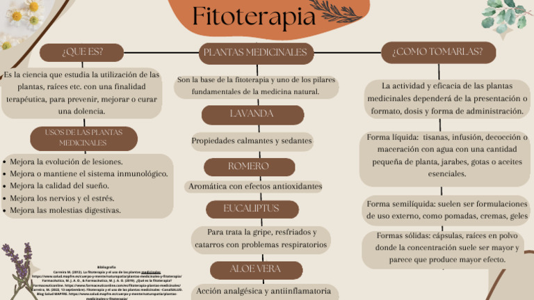 Mapa Mental Fitoterapia | PDF | Plantas medicinales