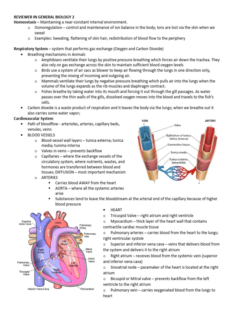Reviewer in GenBio2 2022 | PDF | Heart | Atrium (Heart)