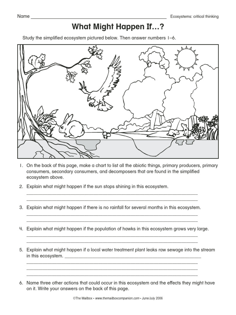 Worksheets On Ecosystems