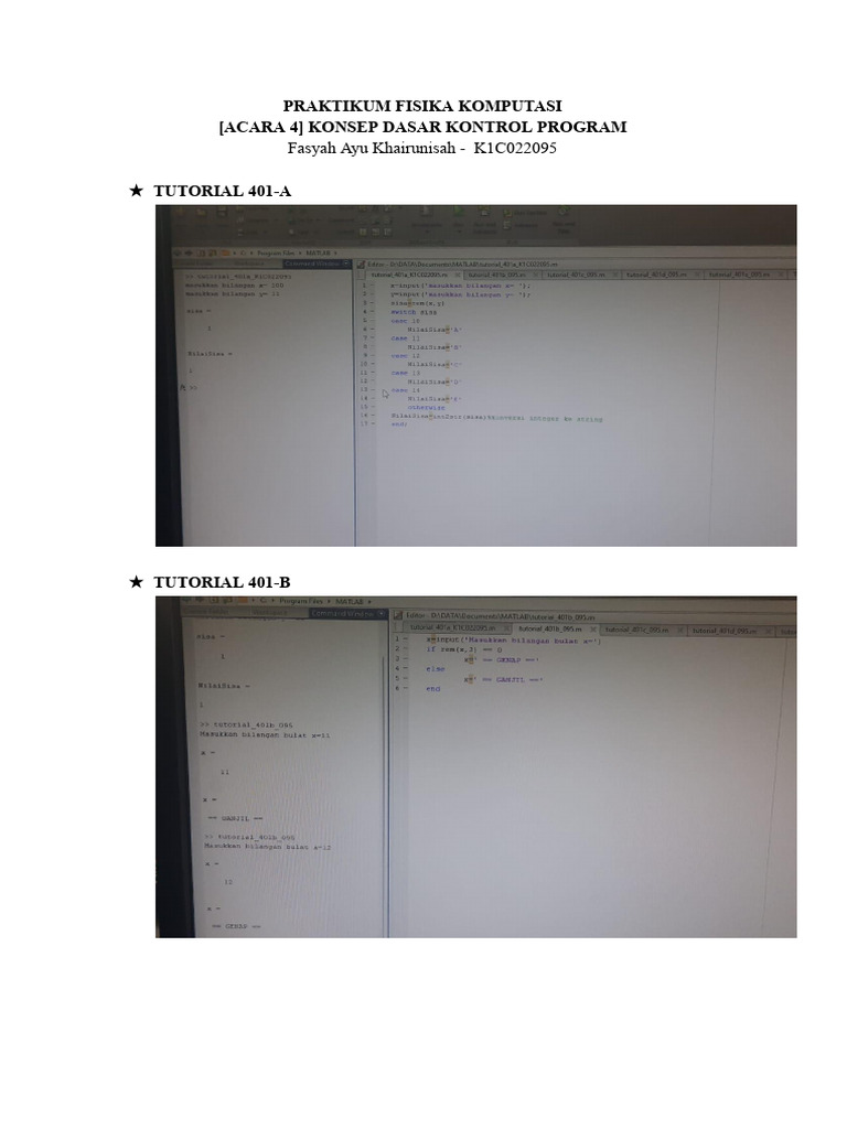 Fisika Komputasi 4 | PDF