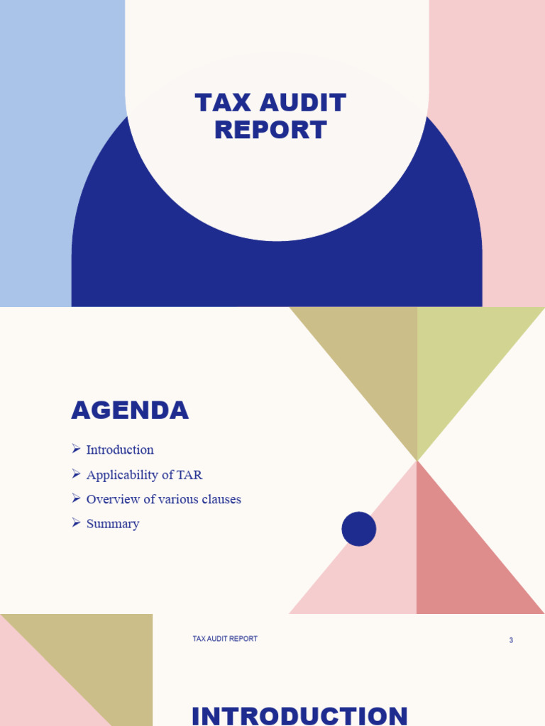 Tax Audit Report (67107) | PDF