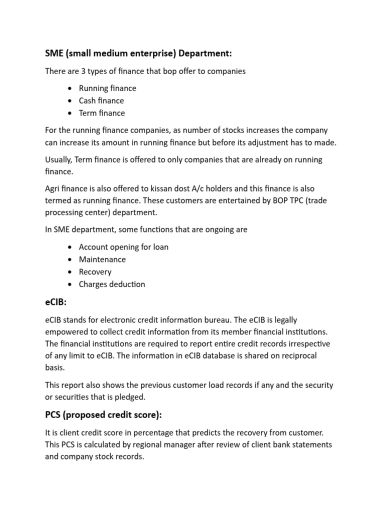 Bank Internship Report Day Wise | PDF