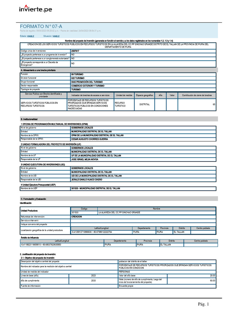 Formato 7 Sinchao | PDF | Tasa interna de retorno | Economias
