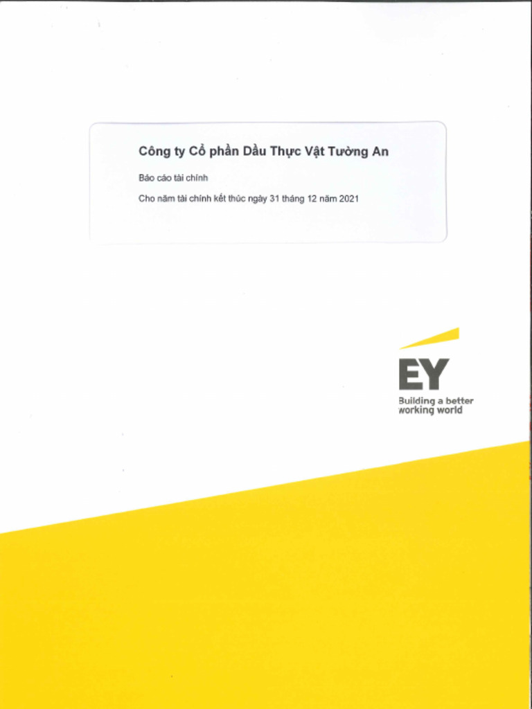 Tac BCTC 2021 KT | PDF