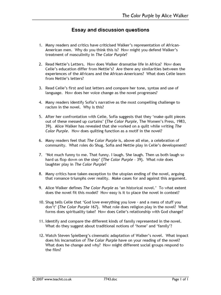 Essay and Discussion Questions: The Color Purple by Alice Walker | PDF