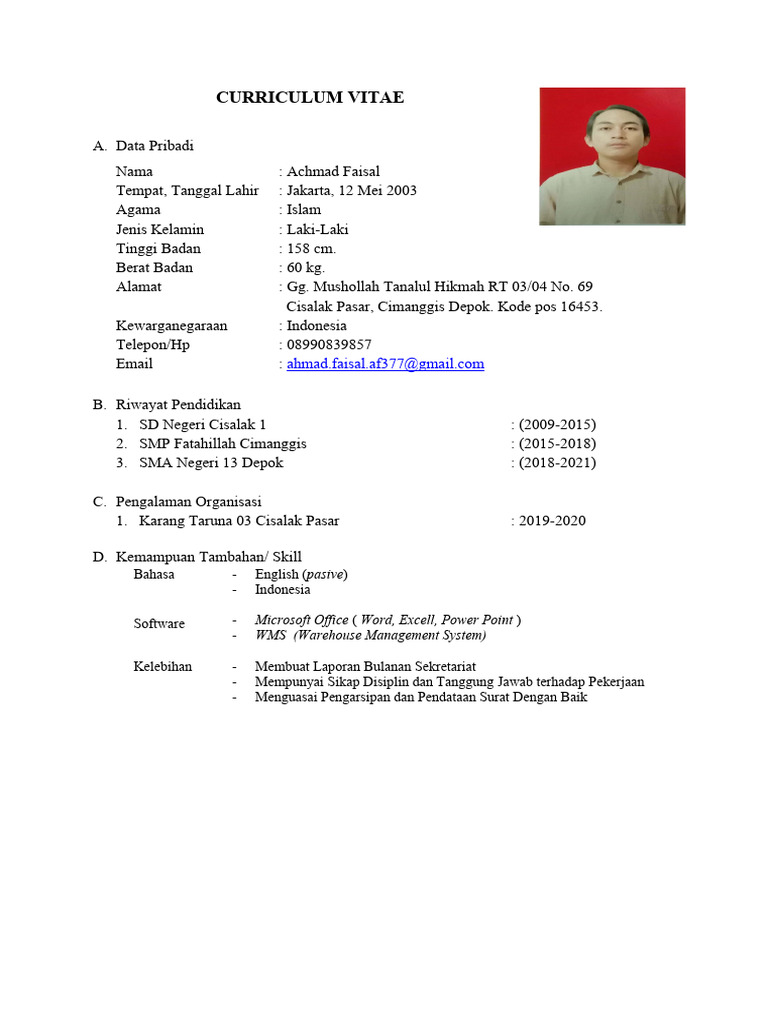 CV Achmad Faisal | PDF