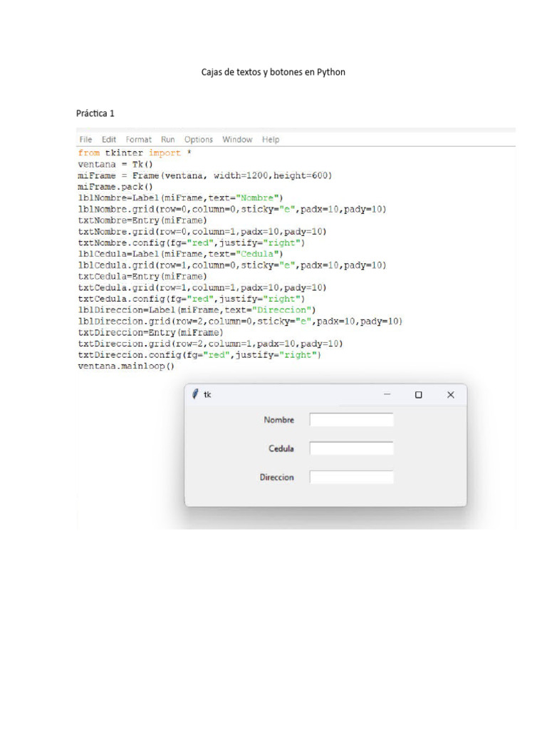Cajas de Textos y Botones en Python | PDF