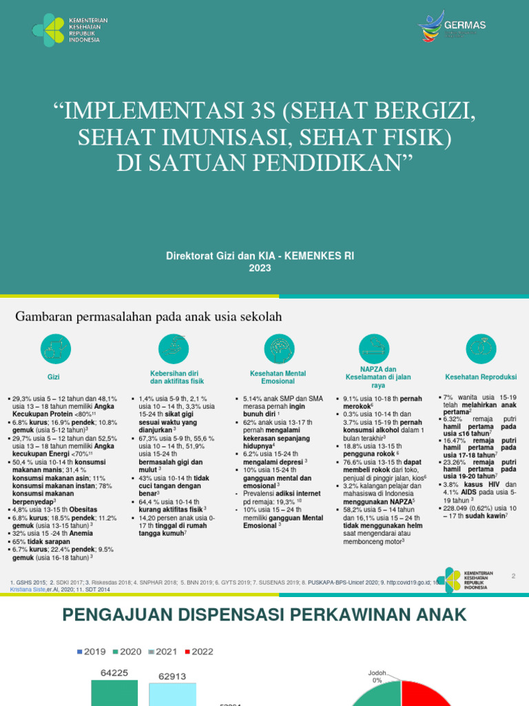 Implementasi 3S | PDF