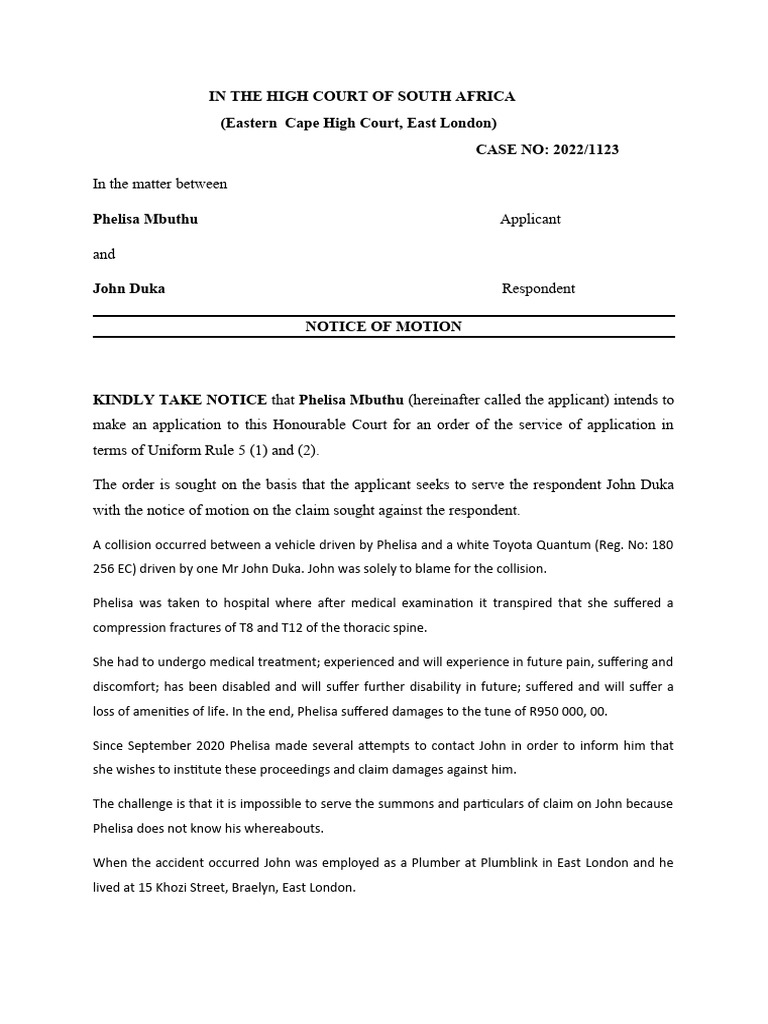 Founding Affidavit | PDF