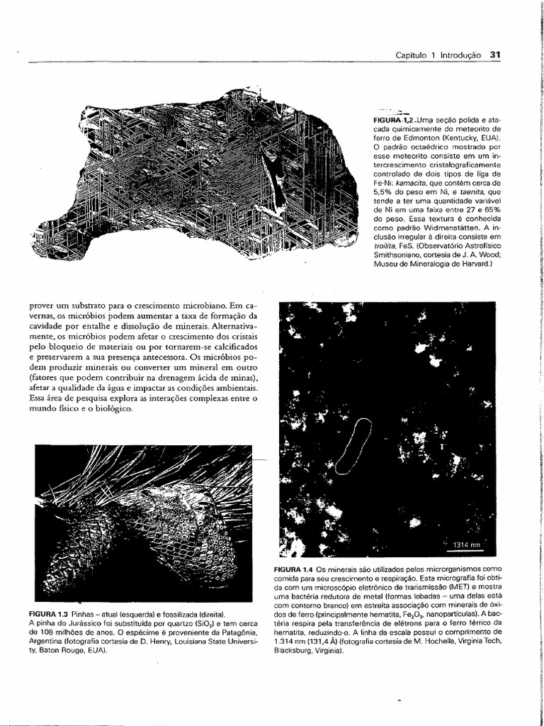 Manual-De-Cic3aancia-Dos-Minerais-Klein-E-Dutrow 2 | PDF