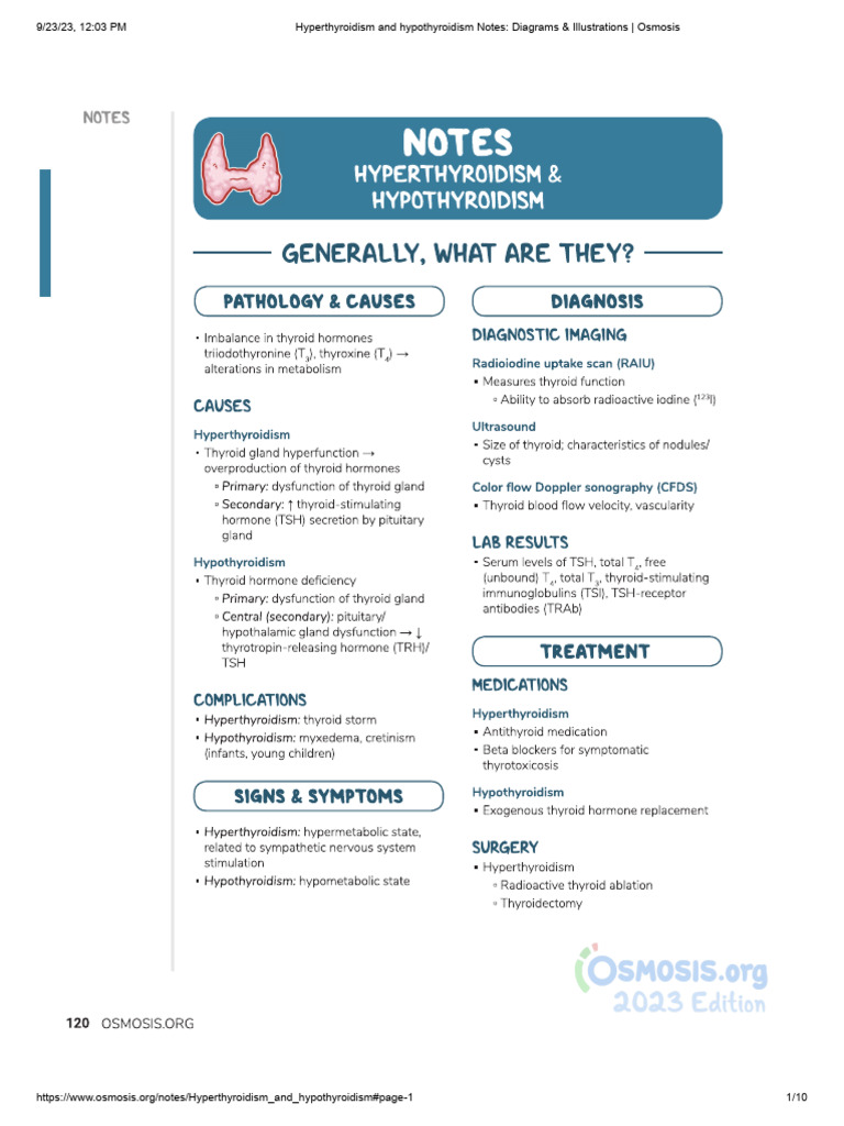 Hyperthyroidism and Hypothyroidism Notes - Diagrams & Illustrations ...