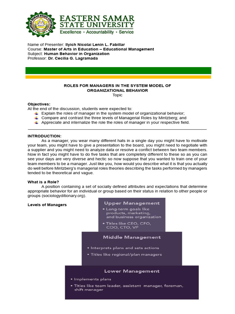 Roles For Managers in The System Model of Organizational Behavior | PDF