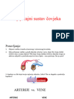 Kostur Čovjeka | PDF